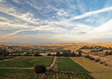 Jericho tours with a Jericho travel guide | Israel vip - best Israel ...